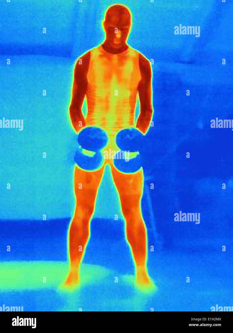 Front view thermal image of young man training with barbells. The image ...