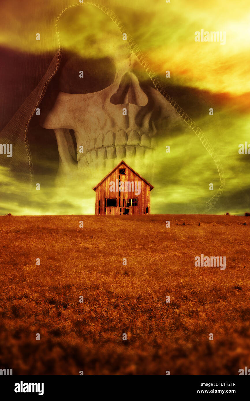 Wizard Of Oz House On Farm