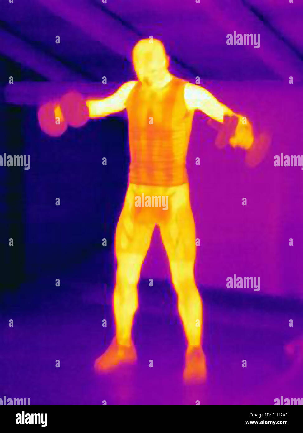 Thermal image of man training with barbells. The image shows the heat ...