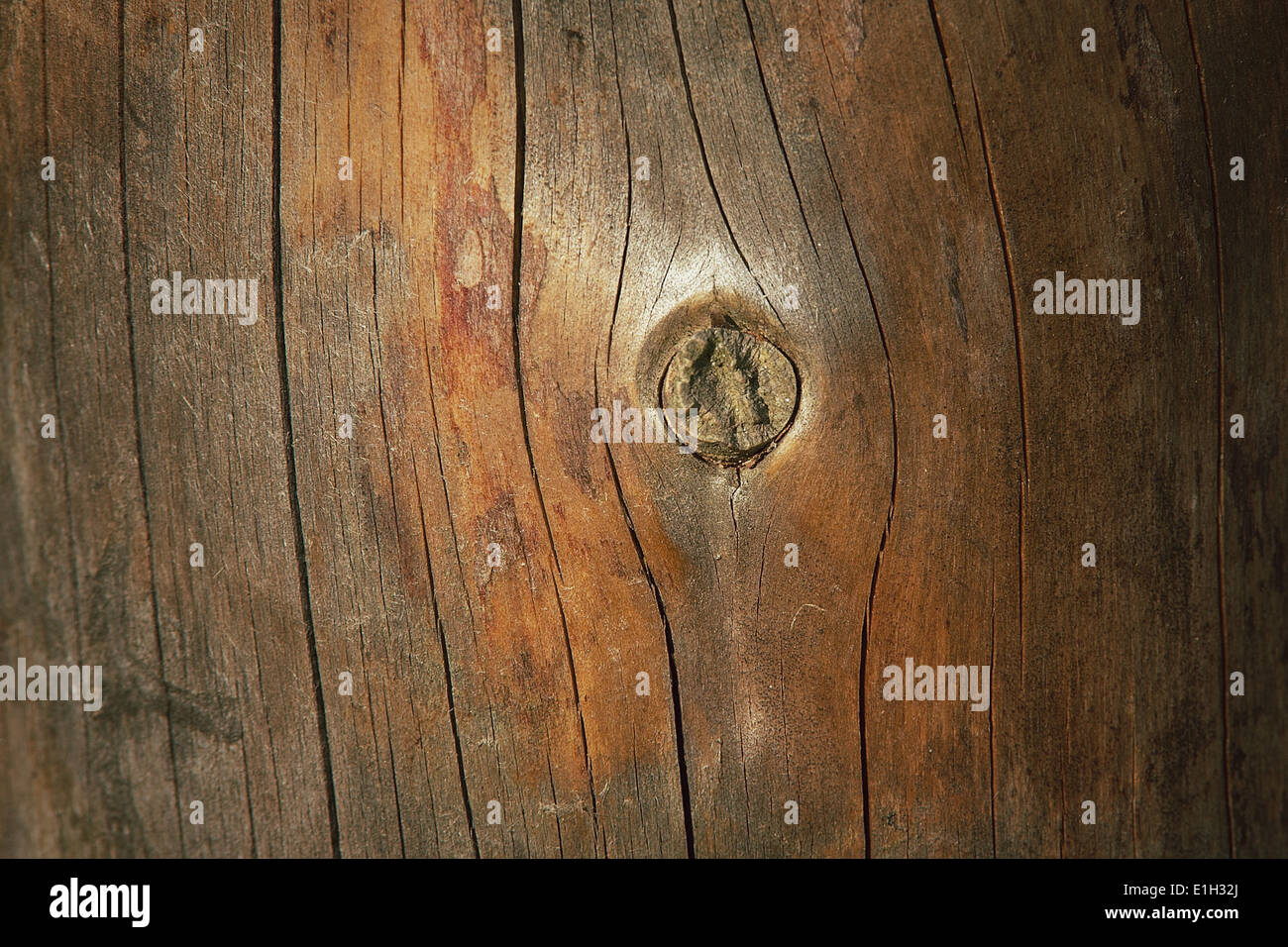 Tree wood lines wall hi-res stock photography and images - Alamy