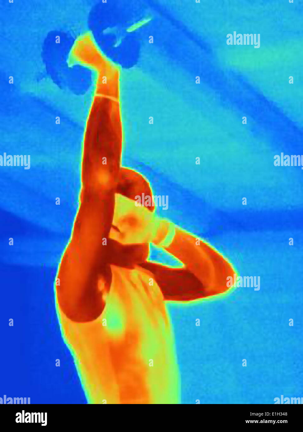 Thermal image of young male athlete training with barbell. The image ...