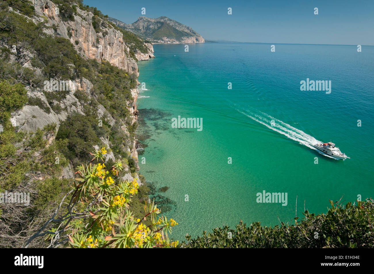 Sea water and wild flora in the coast of Cala Gonone, near the Cala ...