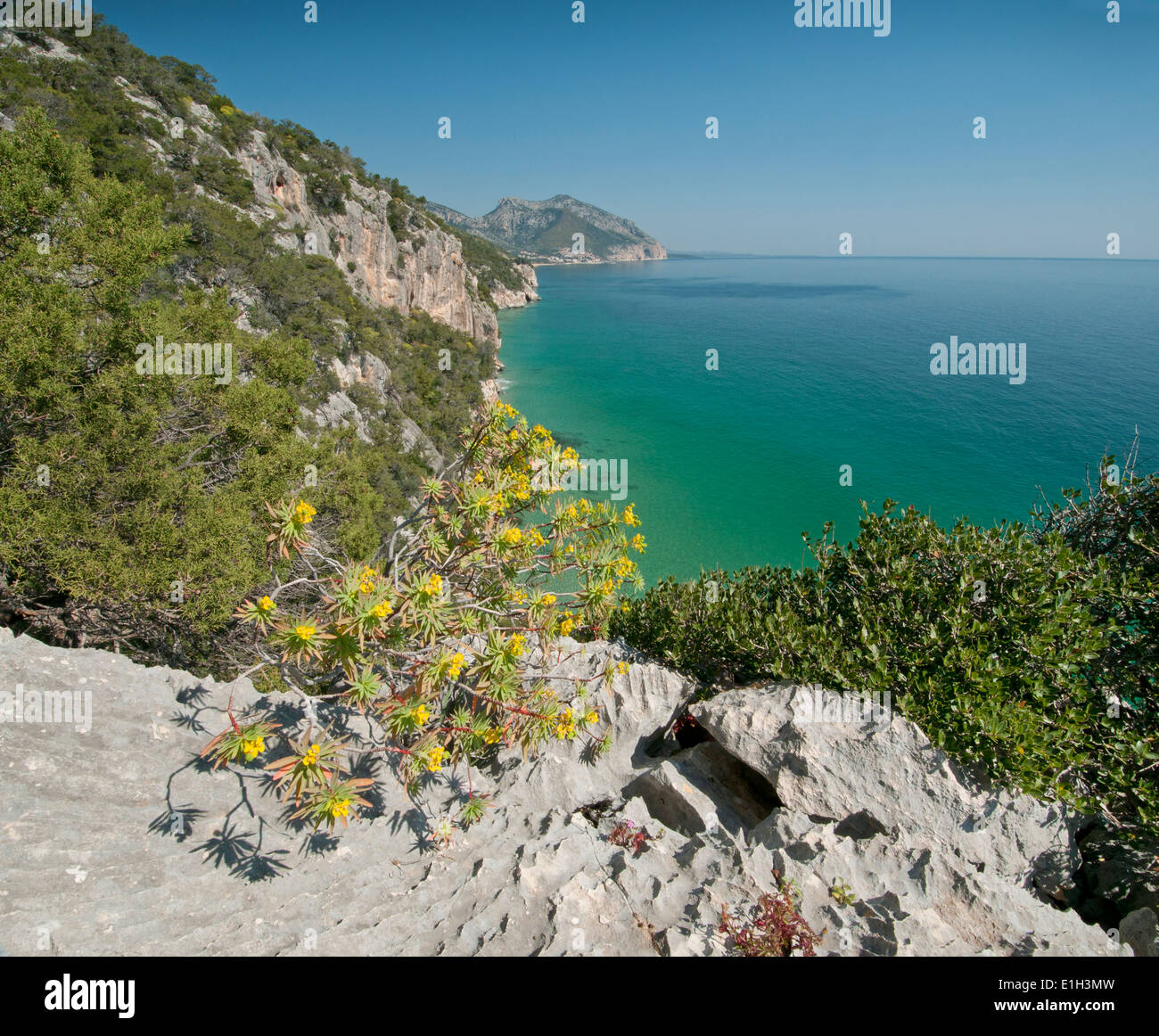 Sea water and wild flora in the coast of Cala Gonone, near the Cala ...