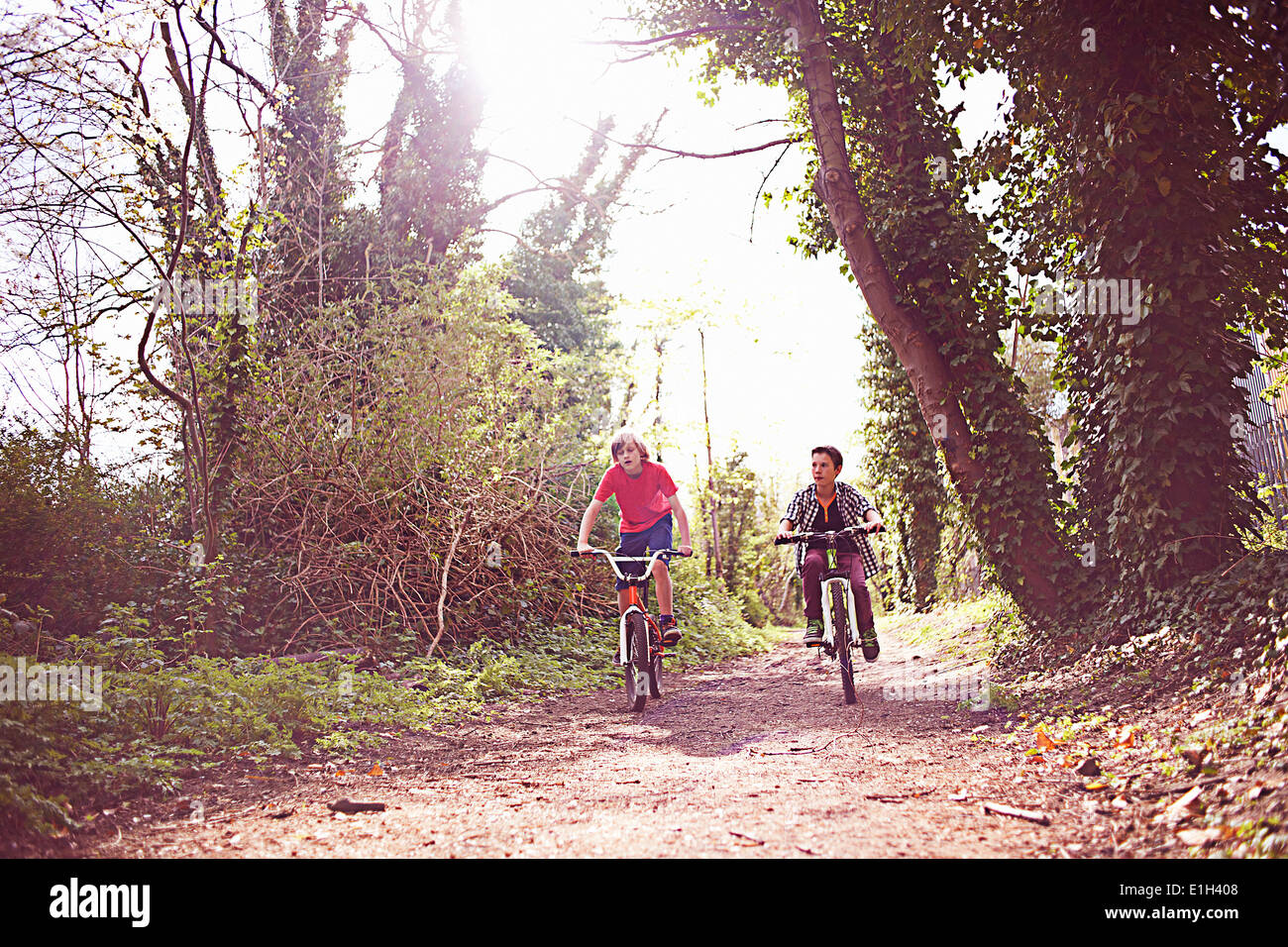 Cycling plant hi-res stock photography and images - Alamy