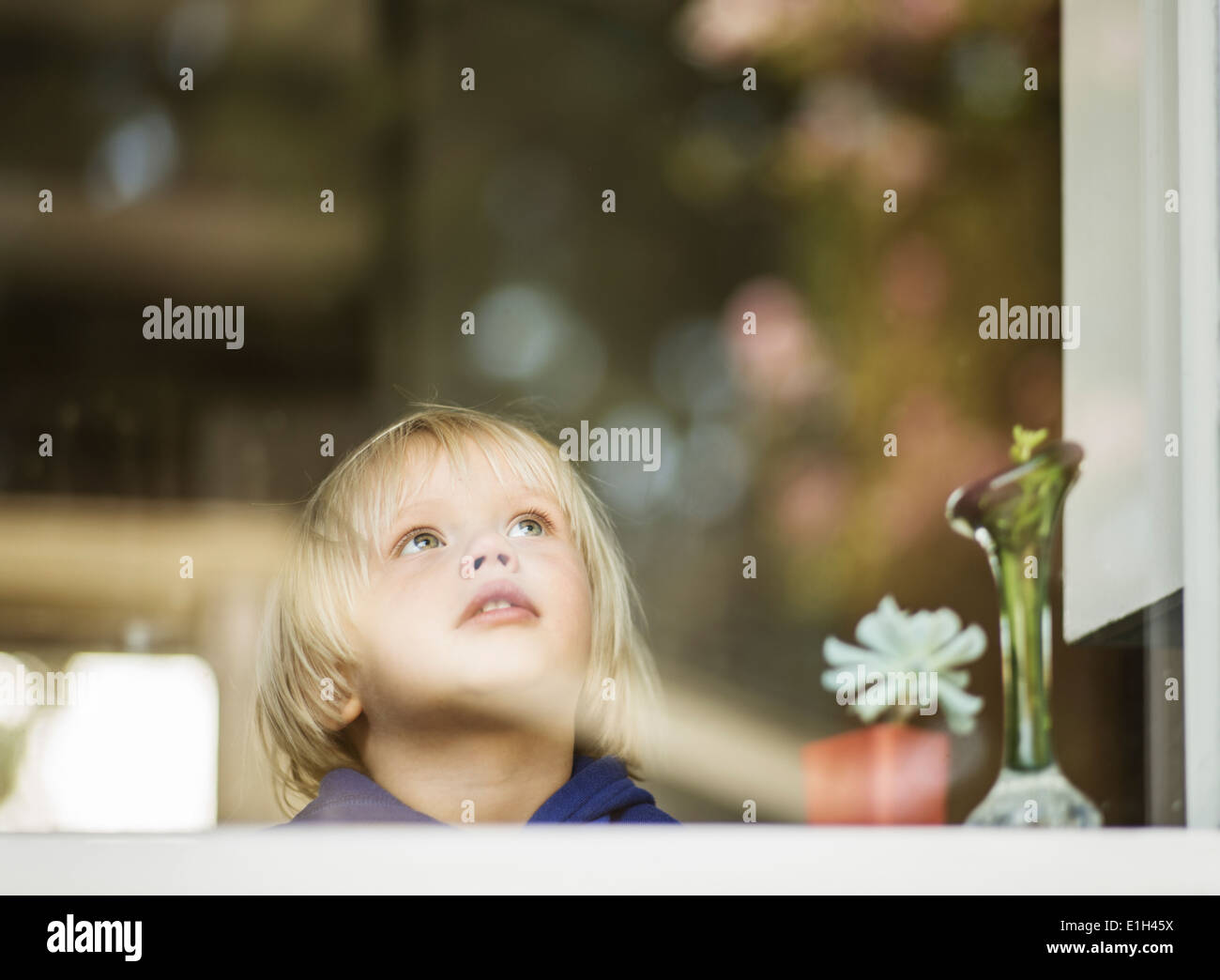 House of intrigue hi-res stock photography and images - Alamy