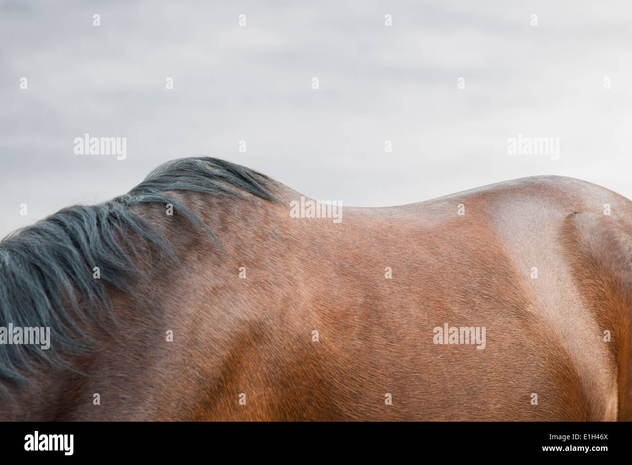 Back bends hi-res stock photography and images - Alamy