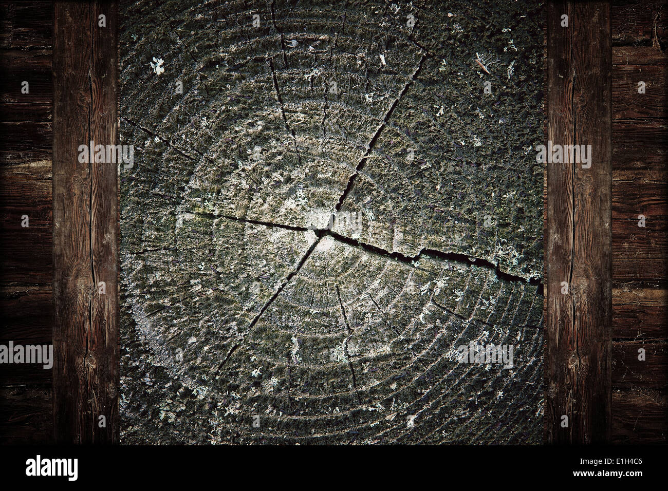 Circular wood texture background hi-res stock photography and images ...