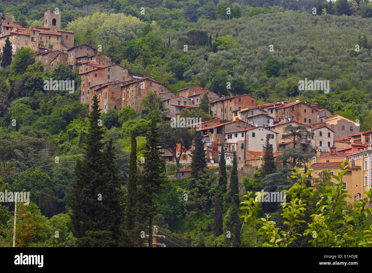 Collodi Italy High Resolution Stock Photography and Images - Alamy