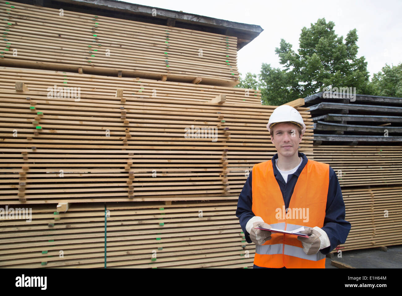 Portrait of young male worker with clipboard in timber yard Stock Photo ...