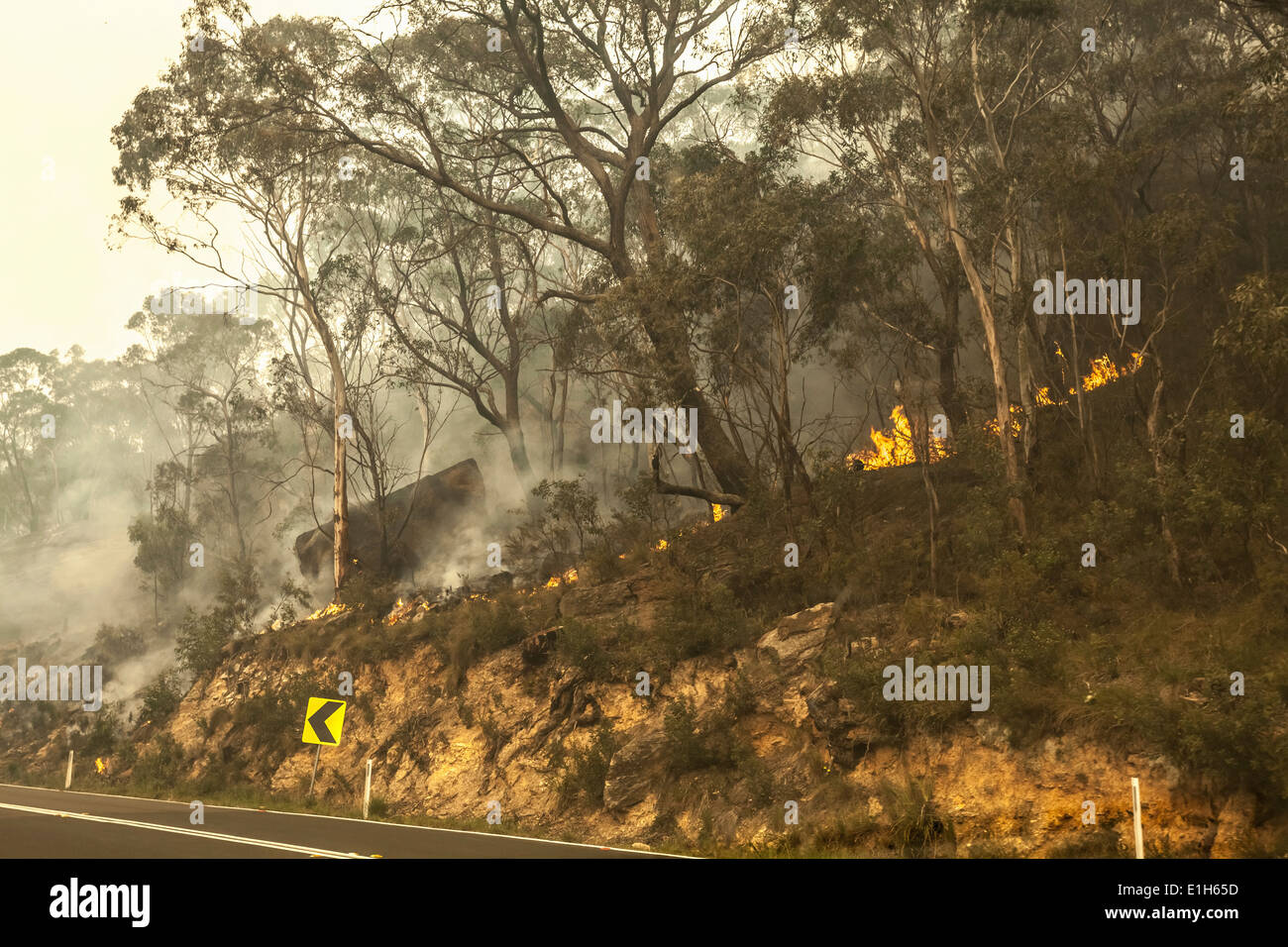 Bush fire, New South Wales, Australia Stock Photo - Alamy