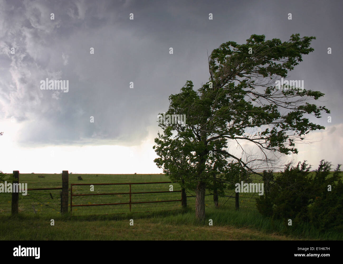 Outflow winds from the rear flank downdraft of a rotating supercell ...