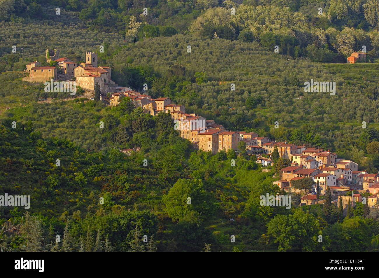 Collodi Italy High Resolution Stock Photography and Images - Alamy