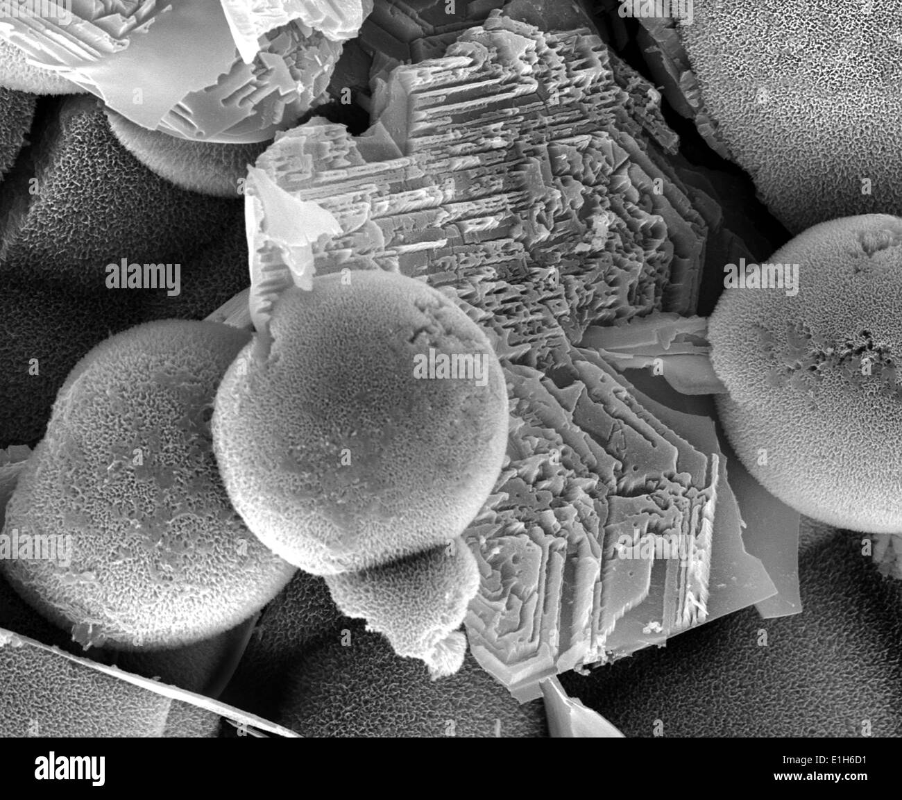 Iron metal microscope Black and White Stock Photos & Images - Alamy
