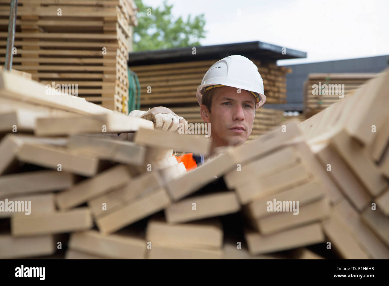 Portrait of young male worker behind wood planks in timber yard Stock ...