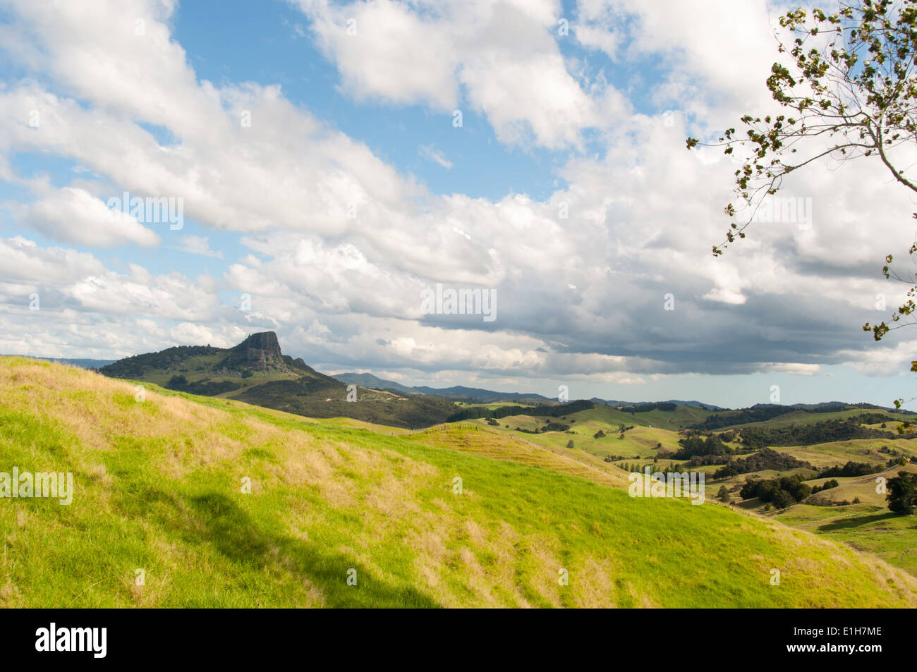 Kiwi New Zealand Landscape High Resolution Stock Photography and Images ...