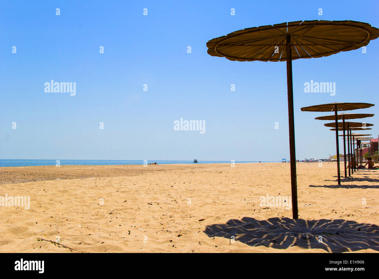 Canopy sky hi-res stock photography and images - Alamy