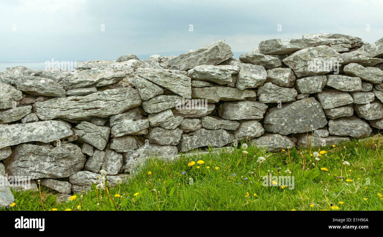 Dry stone walls dominate the landscape on the Aran Island, called Inis ...