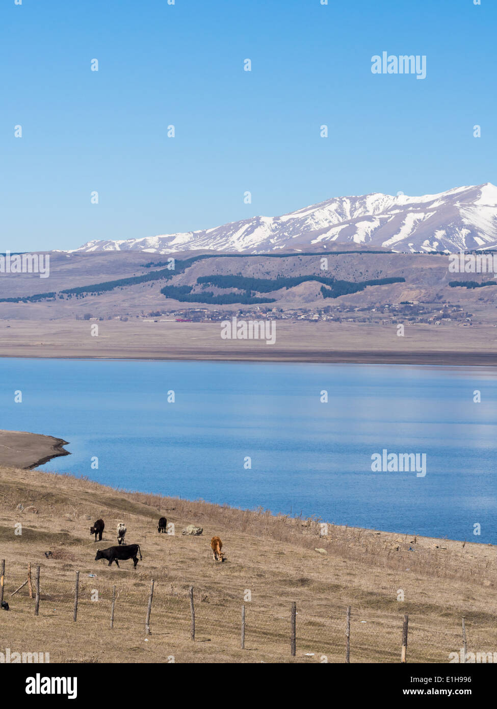 Paravani lake in Javakheti Plateau in Georgia, Caucasus Stock Photo - Alamy