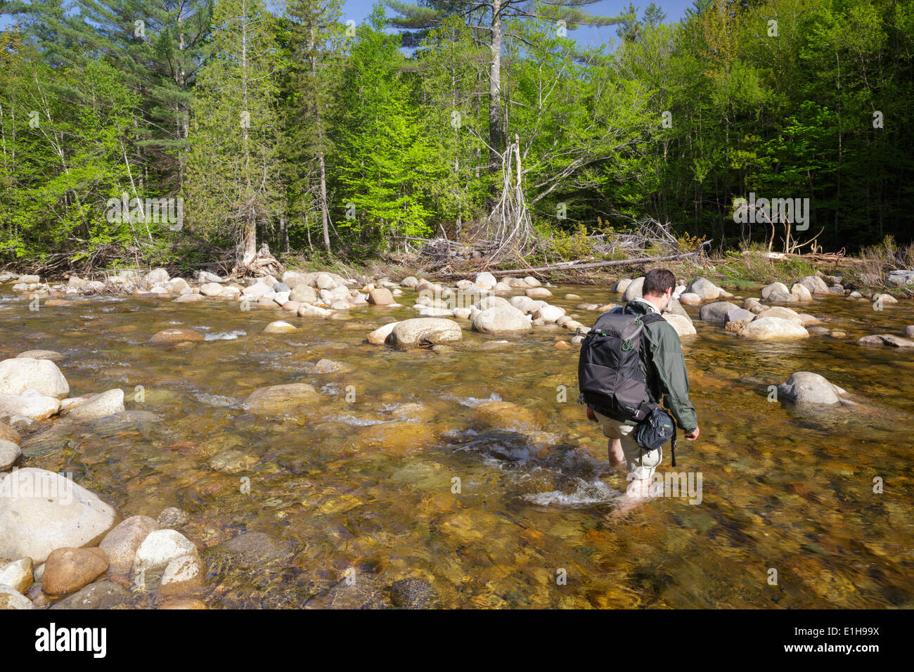 Hiker crossing the East Branch of the Pemigewasset River in the ...