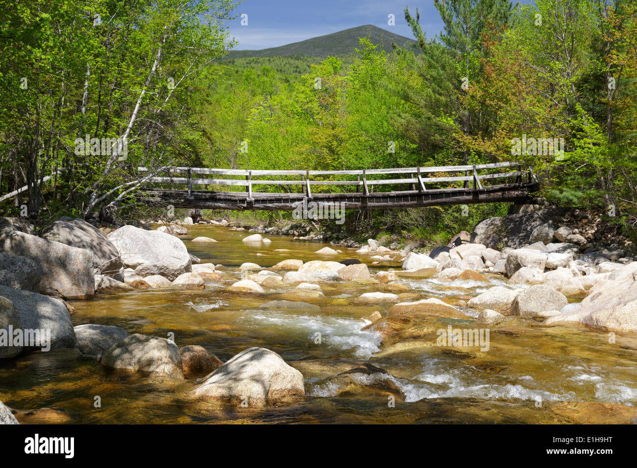 North Fork junction footbridge, which crosses the East Branch of the ...