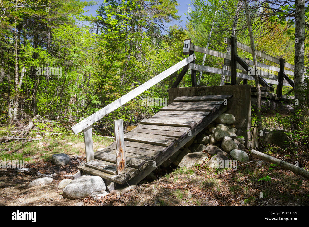 North Fork junction footbridge, which crosses the East Branch of the ...