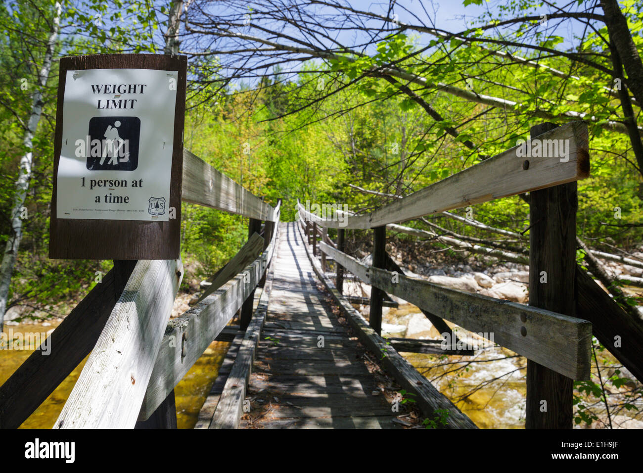 North Fork junction footbridge, which crosses the East Branch of the ...