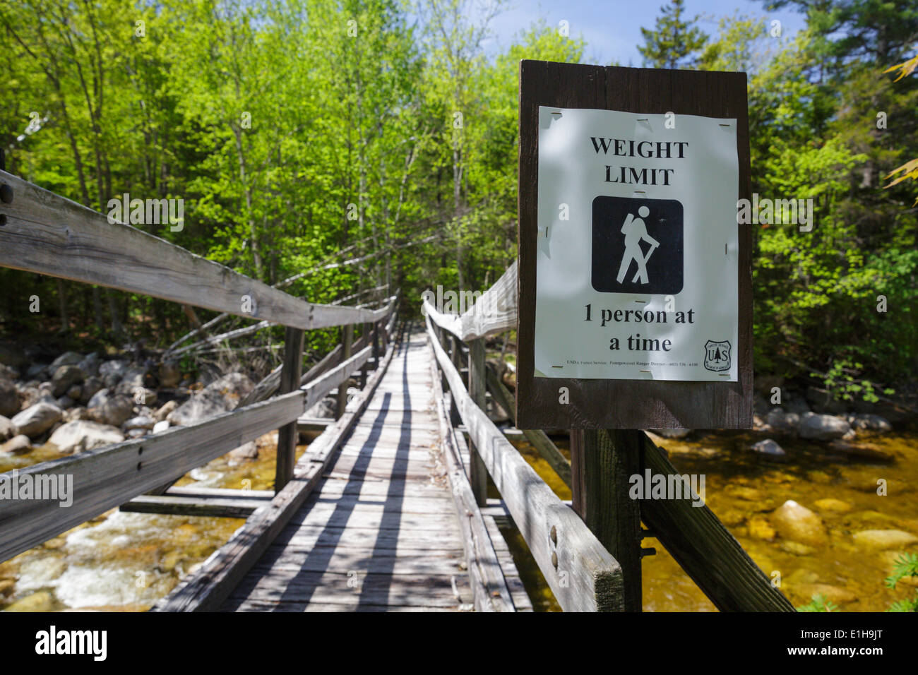 North Fork junction footbridge, which crosses the East Branch of the ...