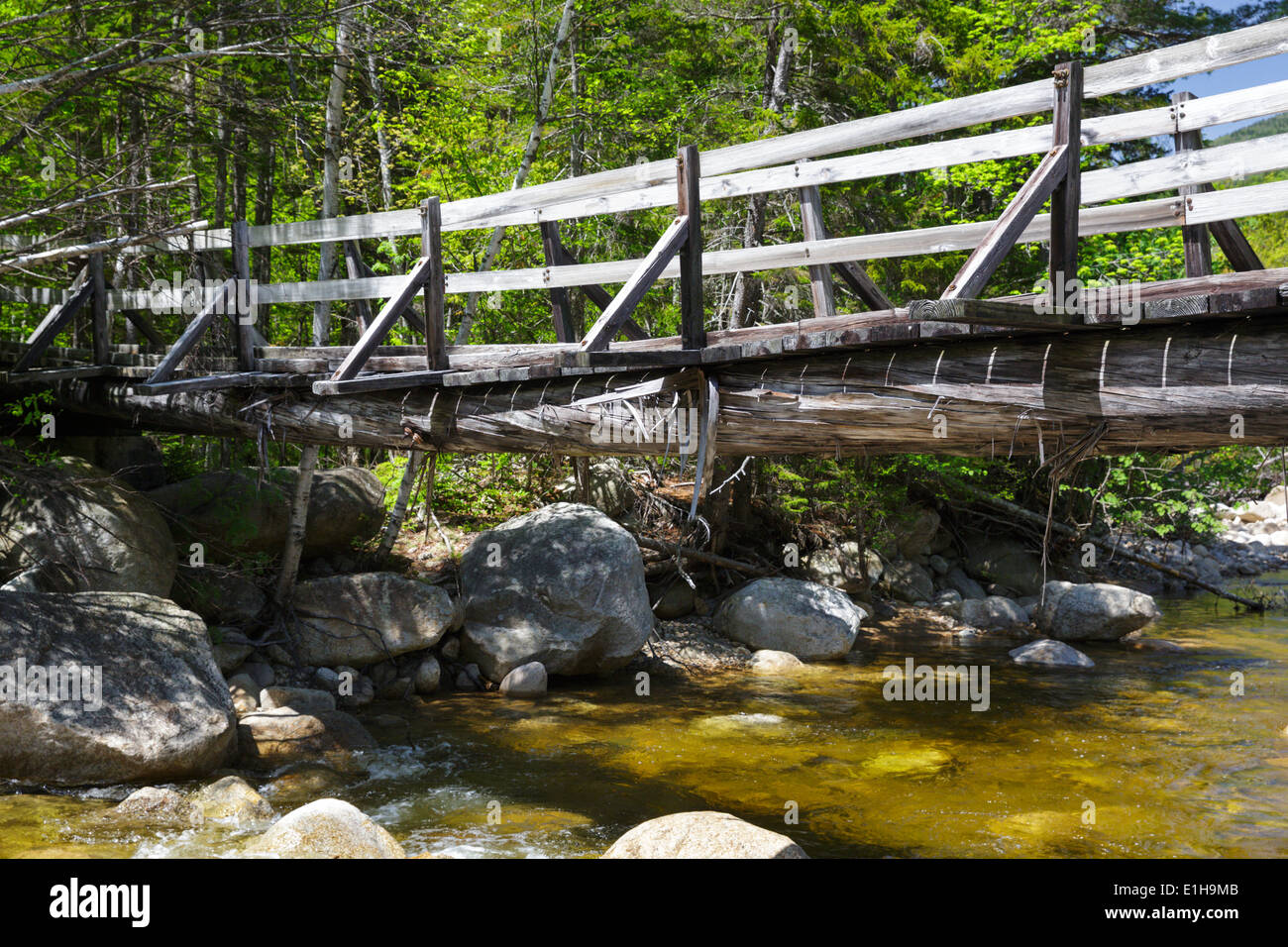 North Fork junction footbridge, which crosses the East Branch of the ...