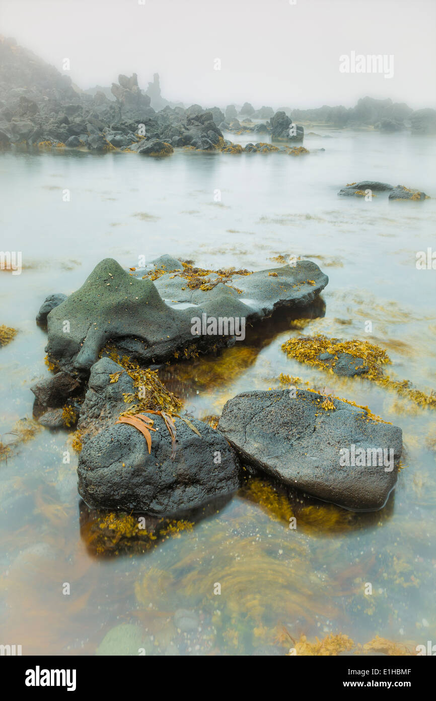 Sea stacks iceland hi-res stock photography and images - Alamy