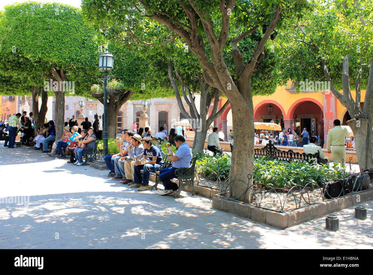 People sitting on park benches under shady trees in the park in the ...
