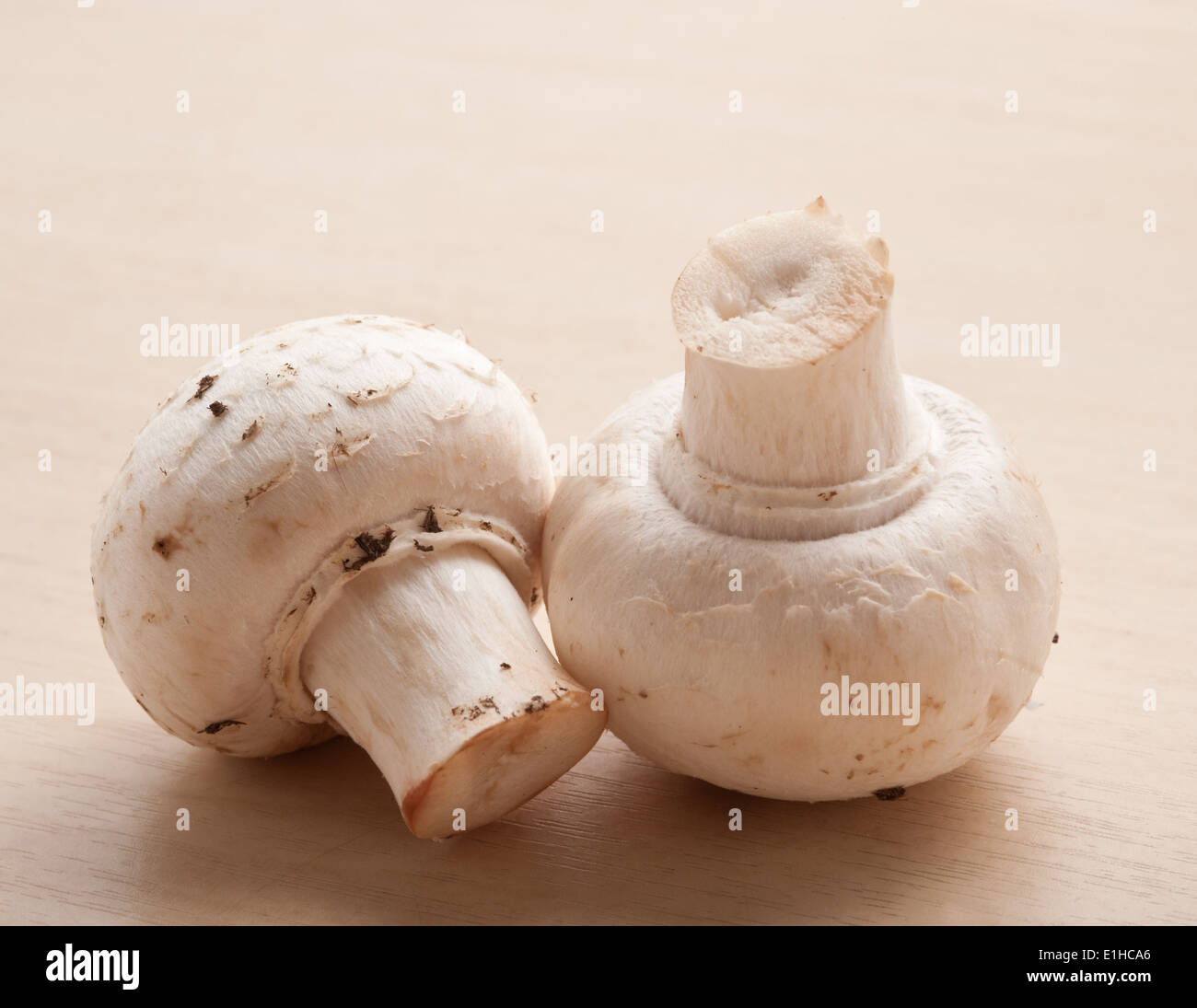 Champignon ingredient hi-res stock photography and images - Alamy