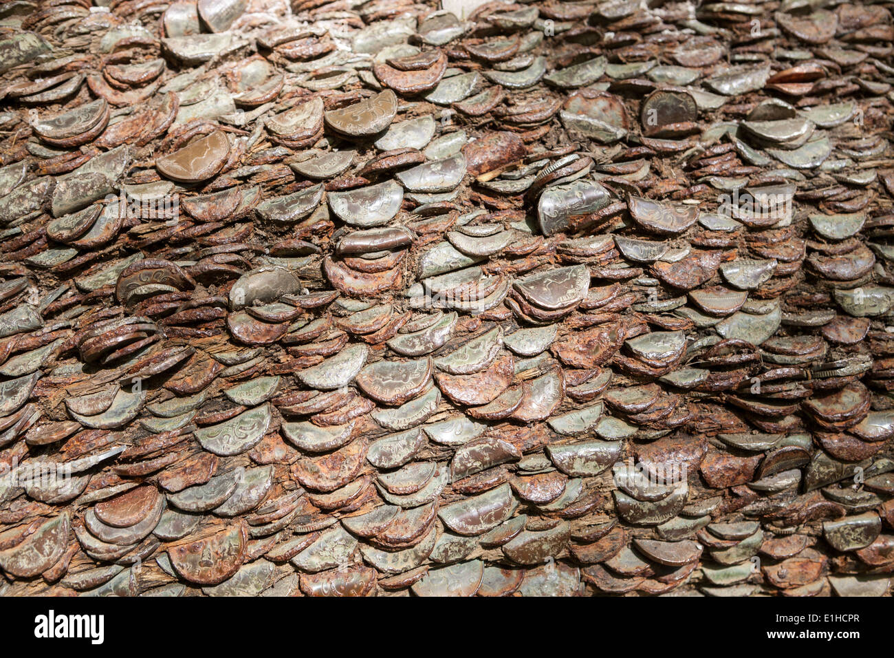 Money tree coins hi-res stock photography and images - Alamy