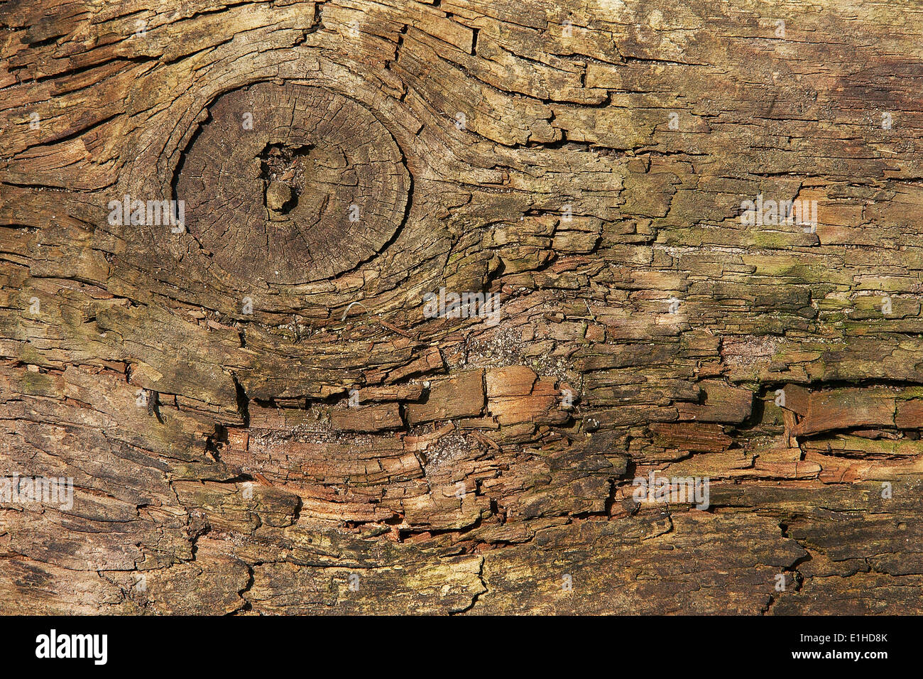 Rotten wooden structure hi-res stock photography and images - Alamy