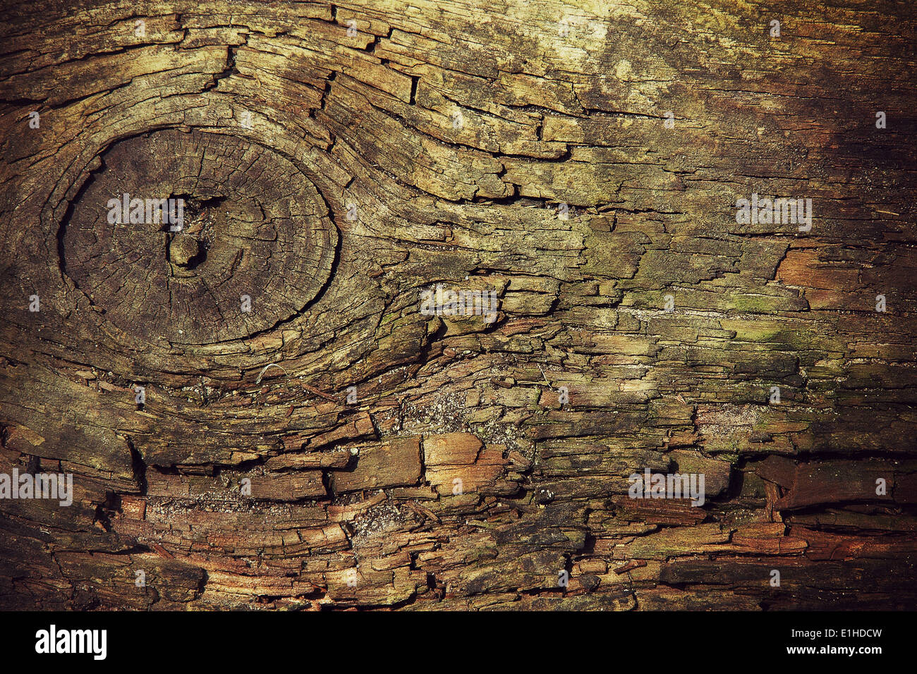 Rotten wooden structure hi-res stock photography and images - Alamy