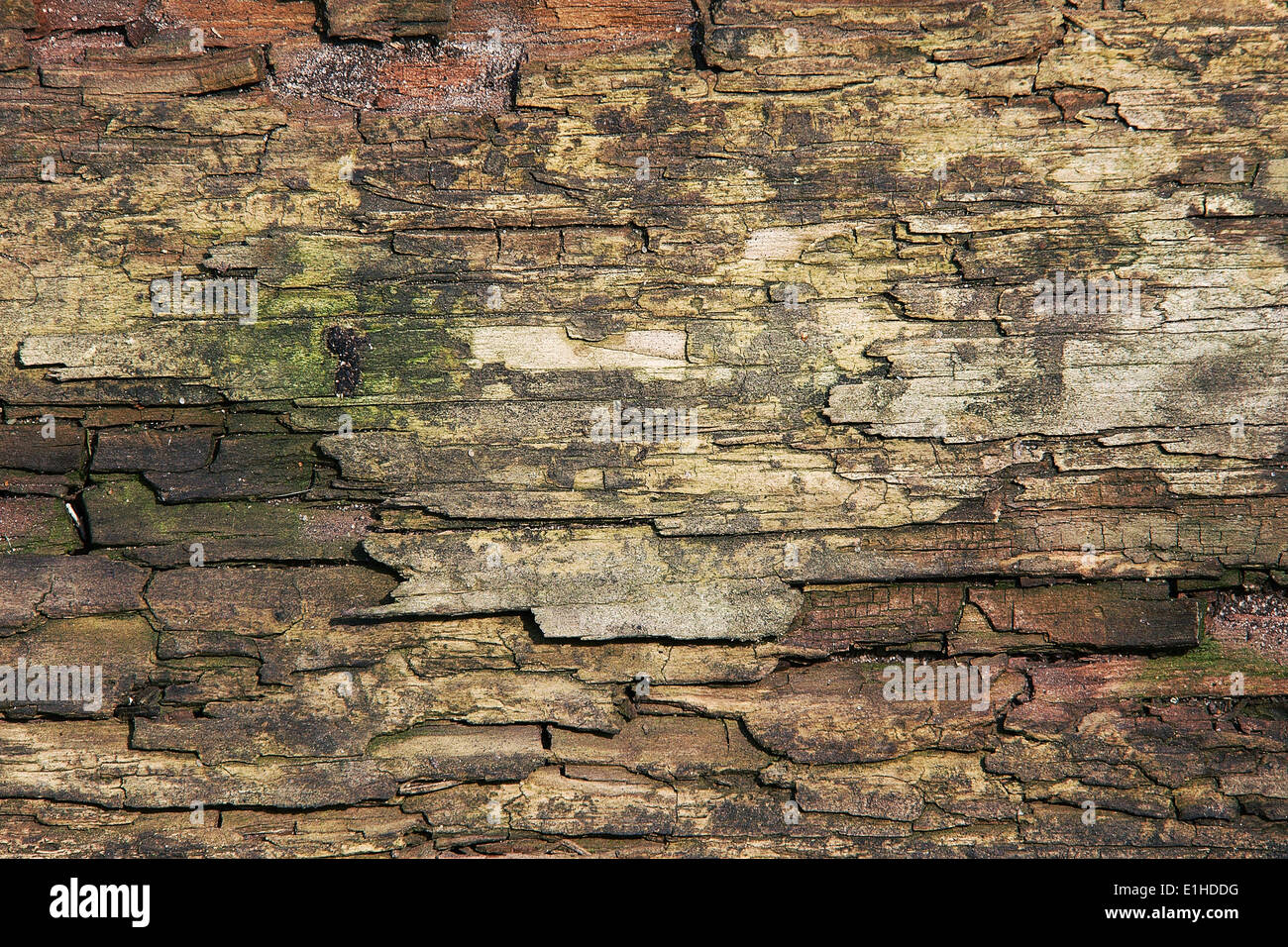 Rotten wooden structure hi-res stock photography and images - Alamy