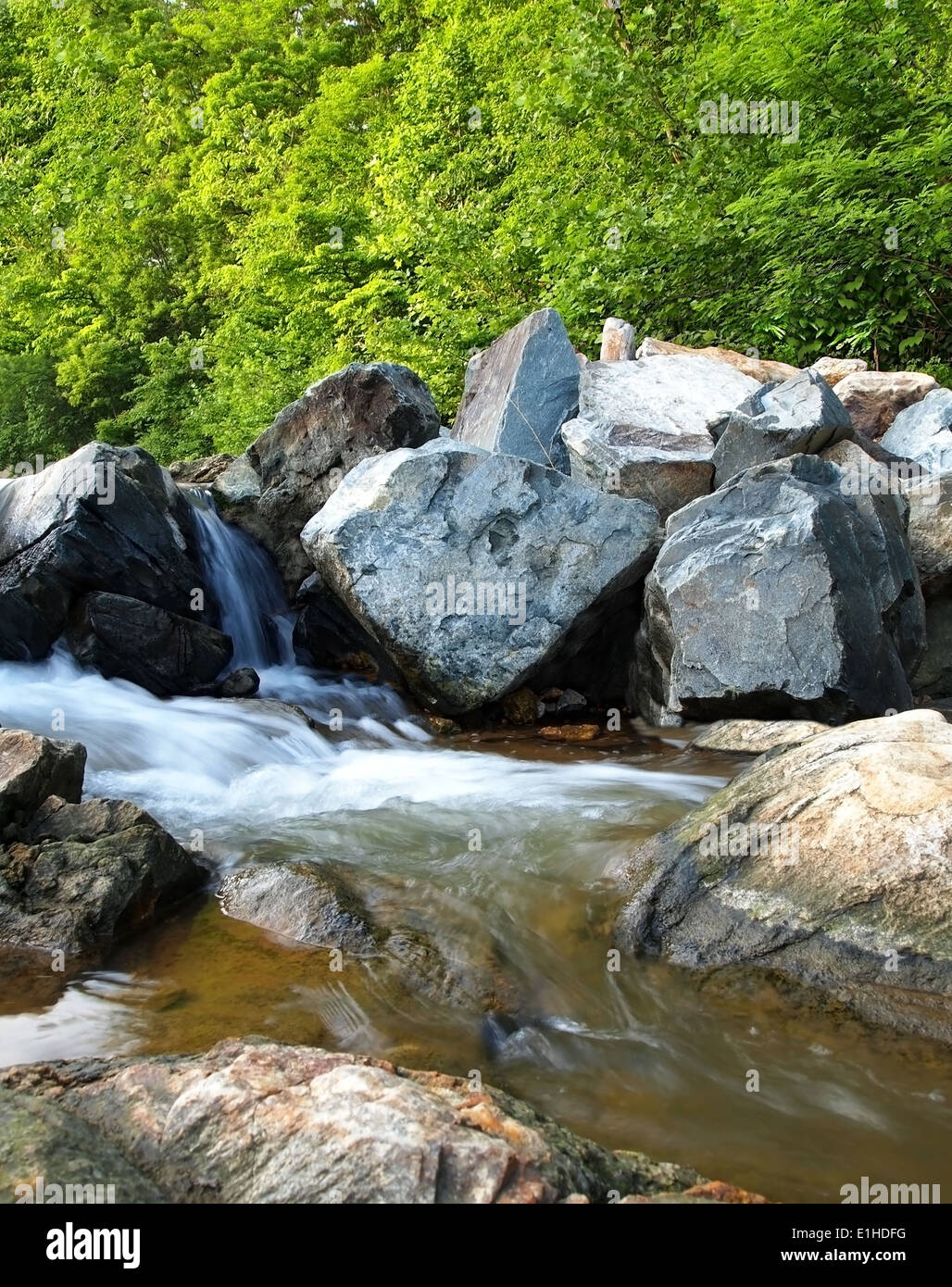 Small waterfalls rush through a woodland stream with large rocks and ...