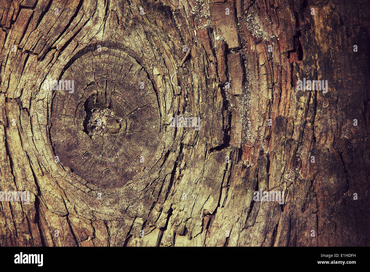 Natural wood weathering hi-res stock photography and images - Alamy