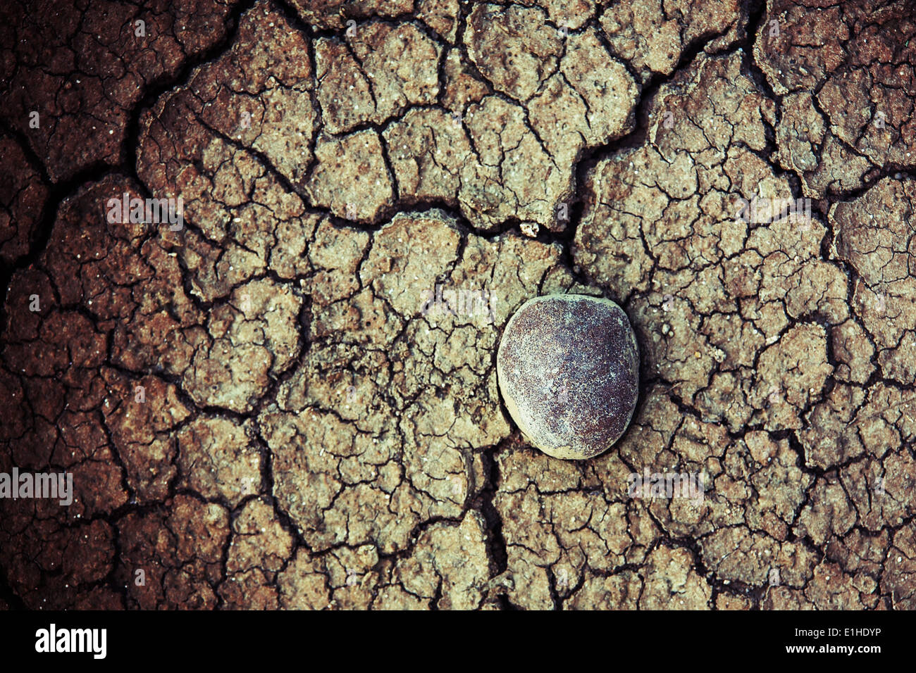 Cracked earth background Stock Photo - Alamy