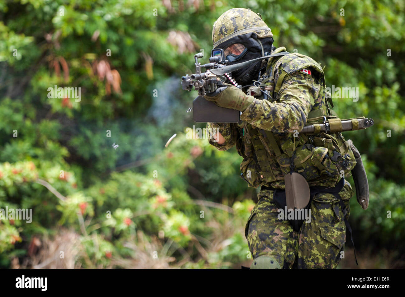 Princess patricias light infantry hi-res stock photography and images ...