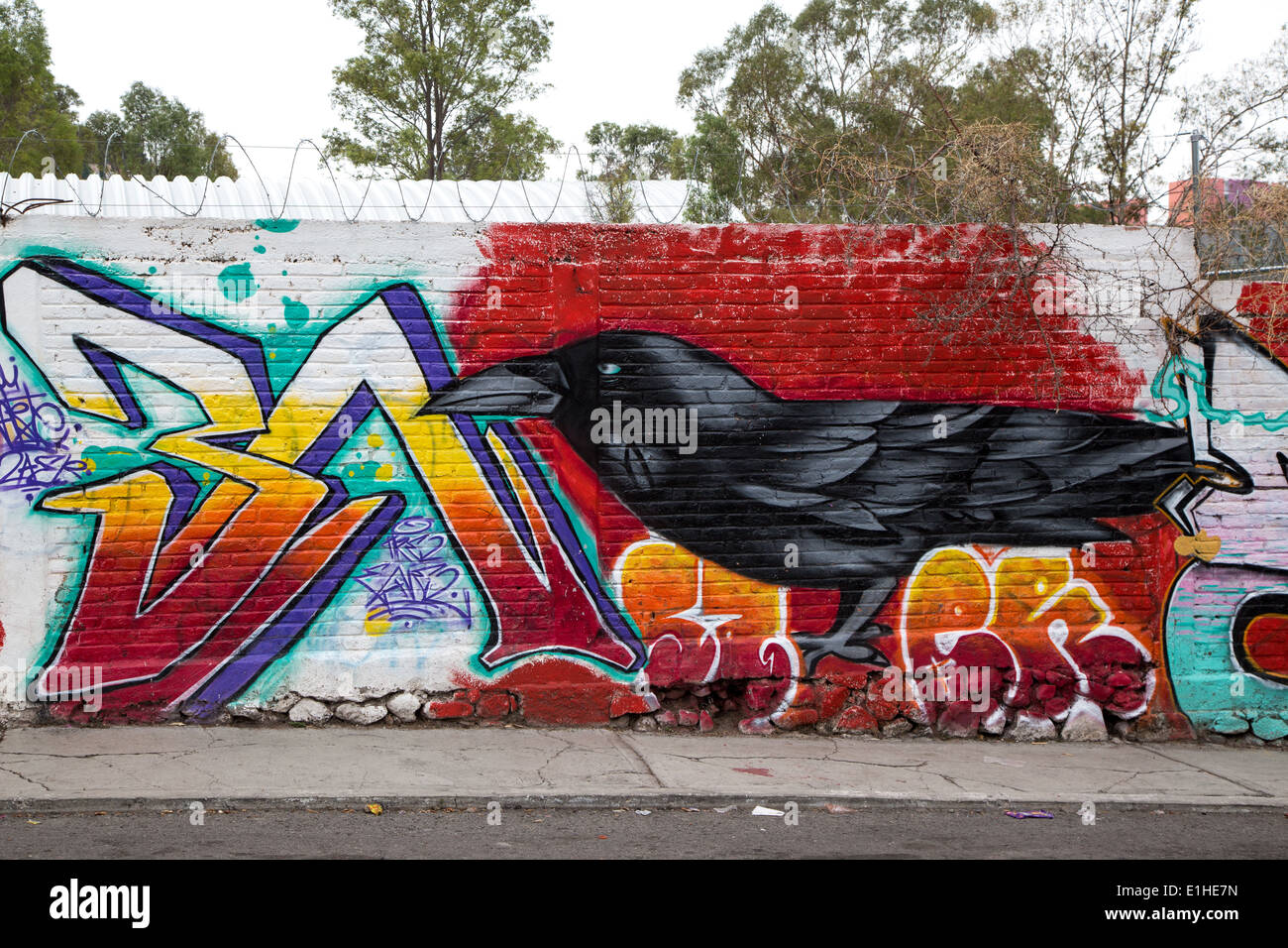 Urban art depicting a blackbird or crow in the Spanish colonial city of ...