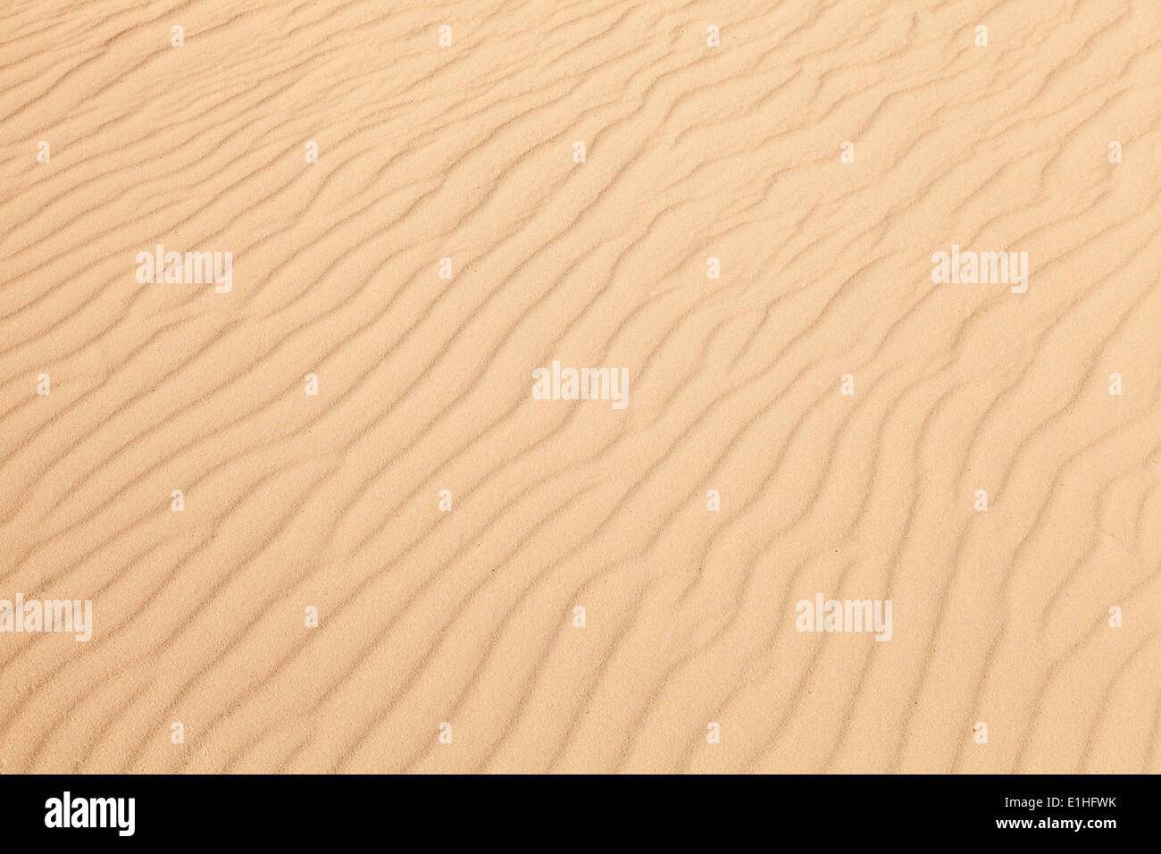 Saudi arabia desert coast hi-res stock photography and images - Alamy
