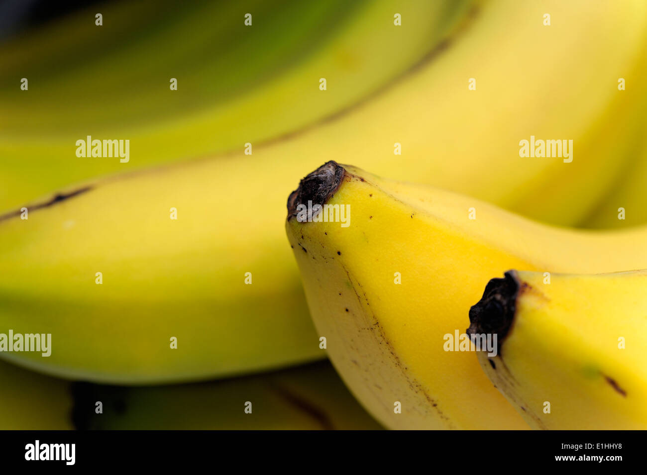 Bananas close up Stock Photo - Alamy