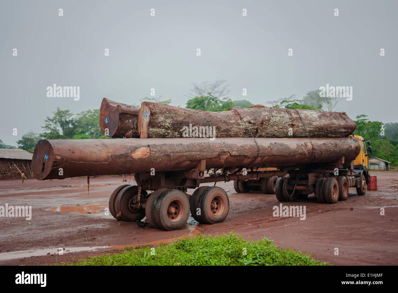 Timber truck hi-res stock photography and images - Alamy
