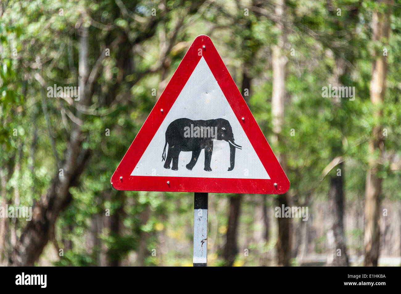 Warning sign elephants hi-res stock photography and images - Alamy