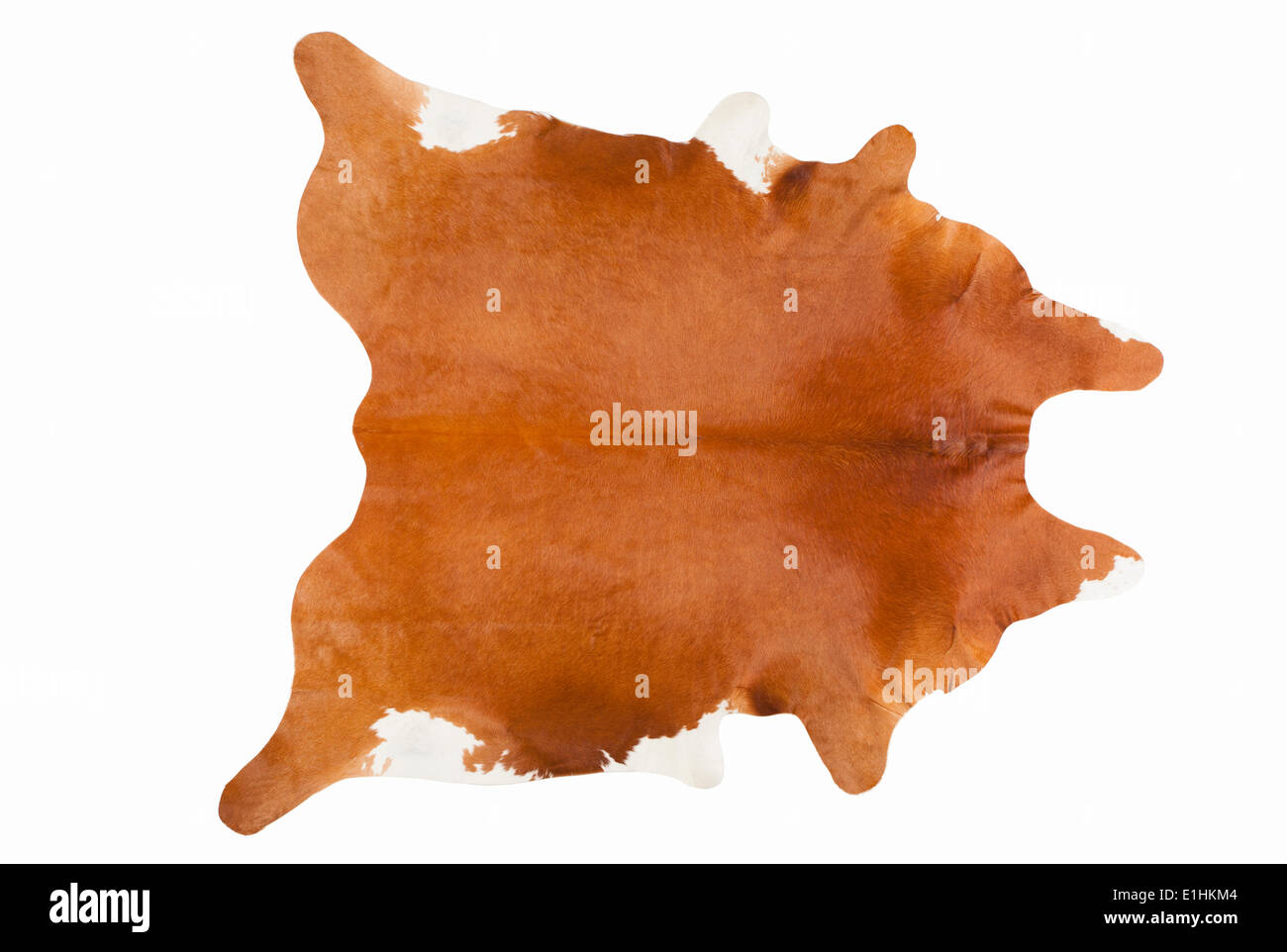 Russet brown skin hi-res stock photography and images - Alamy