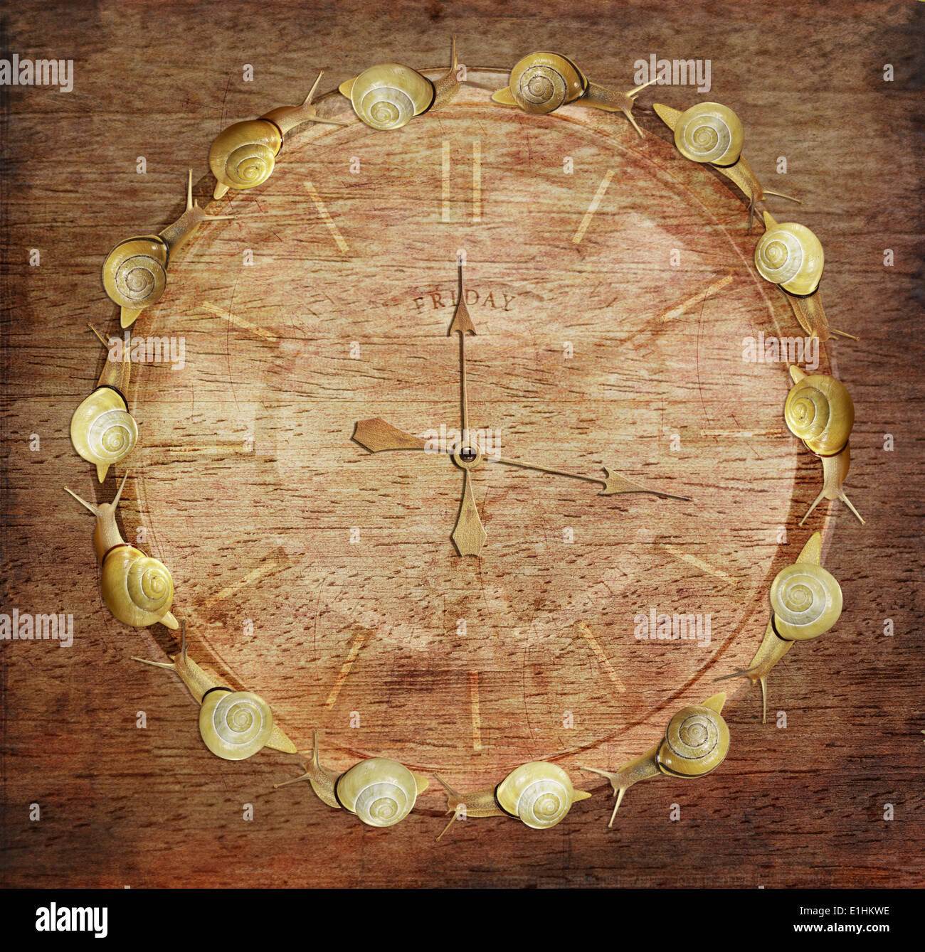 Slow Time. Retro Watch with Snails on Wood. Art Concept Stock Photo - Alamy