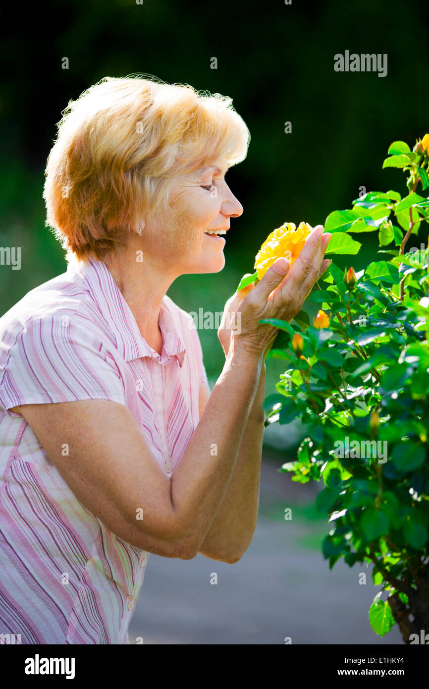 Sentimentality. Mature Pretty Old Lady Smelling Yellow Flower Stock ...