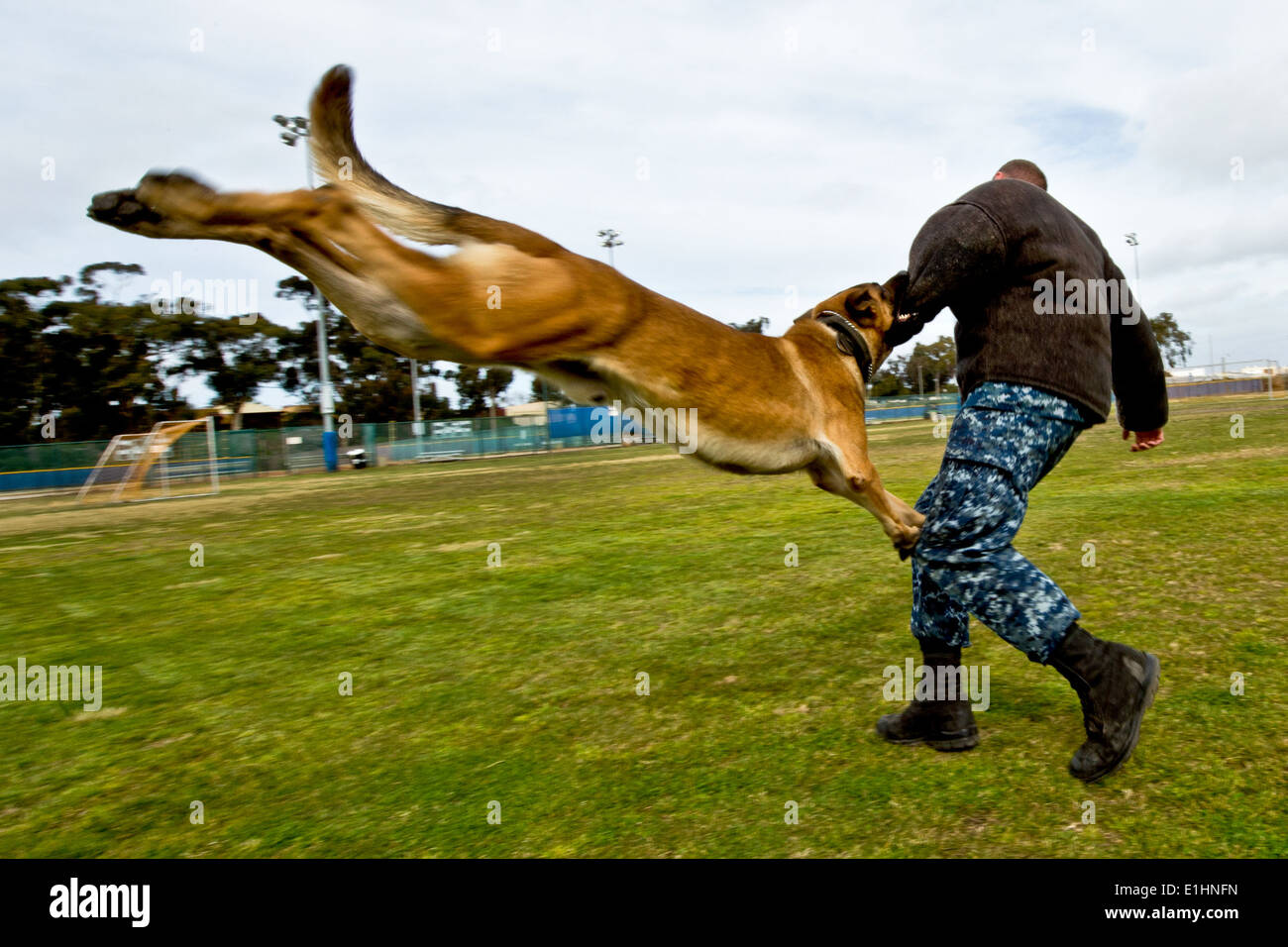U.S. Navy Master-at-Arms Seaman Apprentice Randy Tallman, assigned to ...