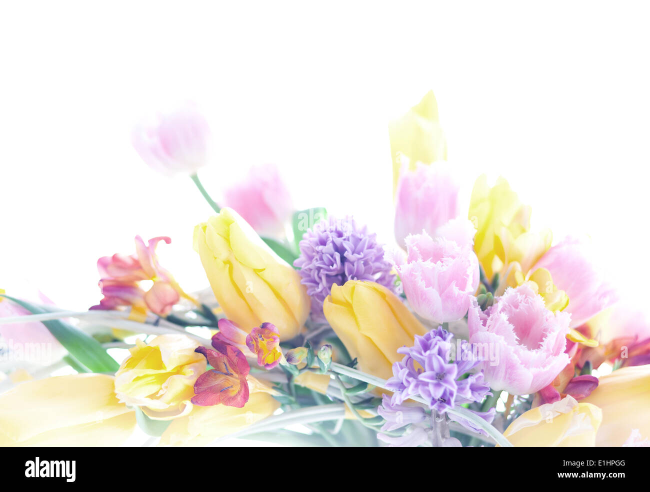 Collage postcard background mix from the 8 March spring flowers ...