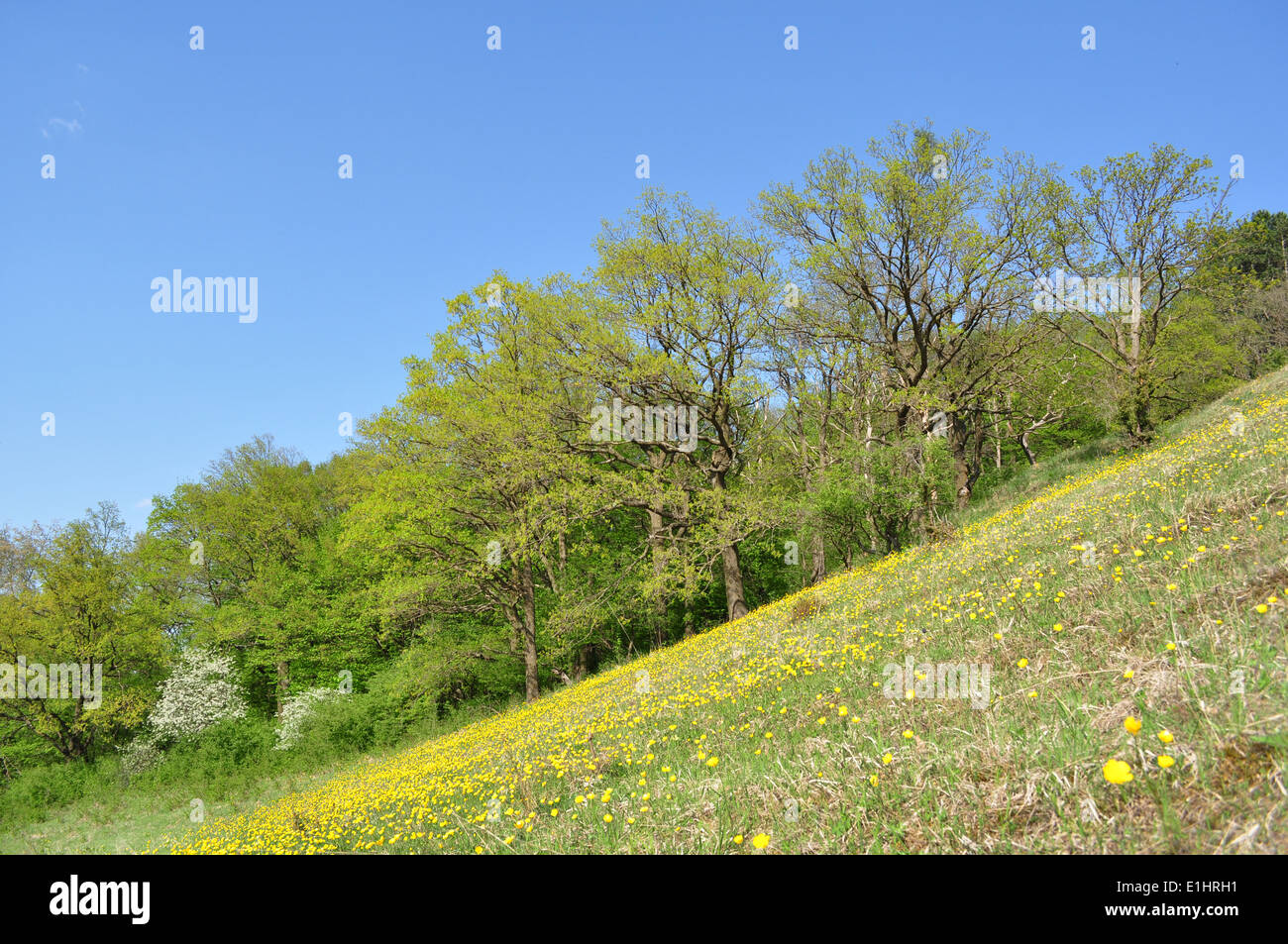 Mountain spring landscape hi-res stock photography and images - Alamy